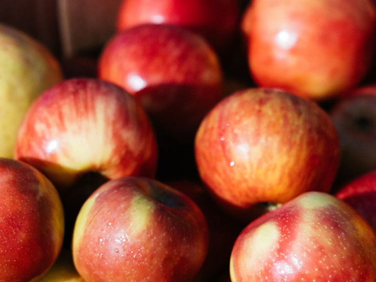 Latin American Heritage Month | San Francisco-Marin Food Bank