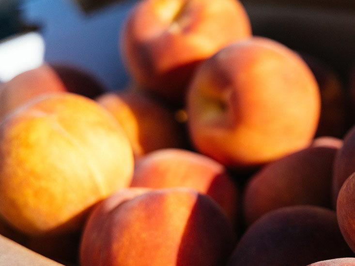 Farm Bill FAQs: Q&A with Meg Davidson | San Francisco-Marin Food Bank