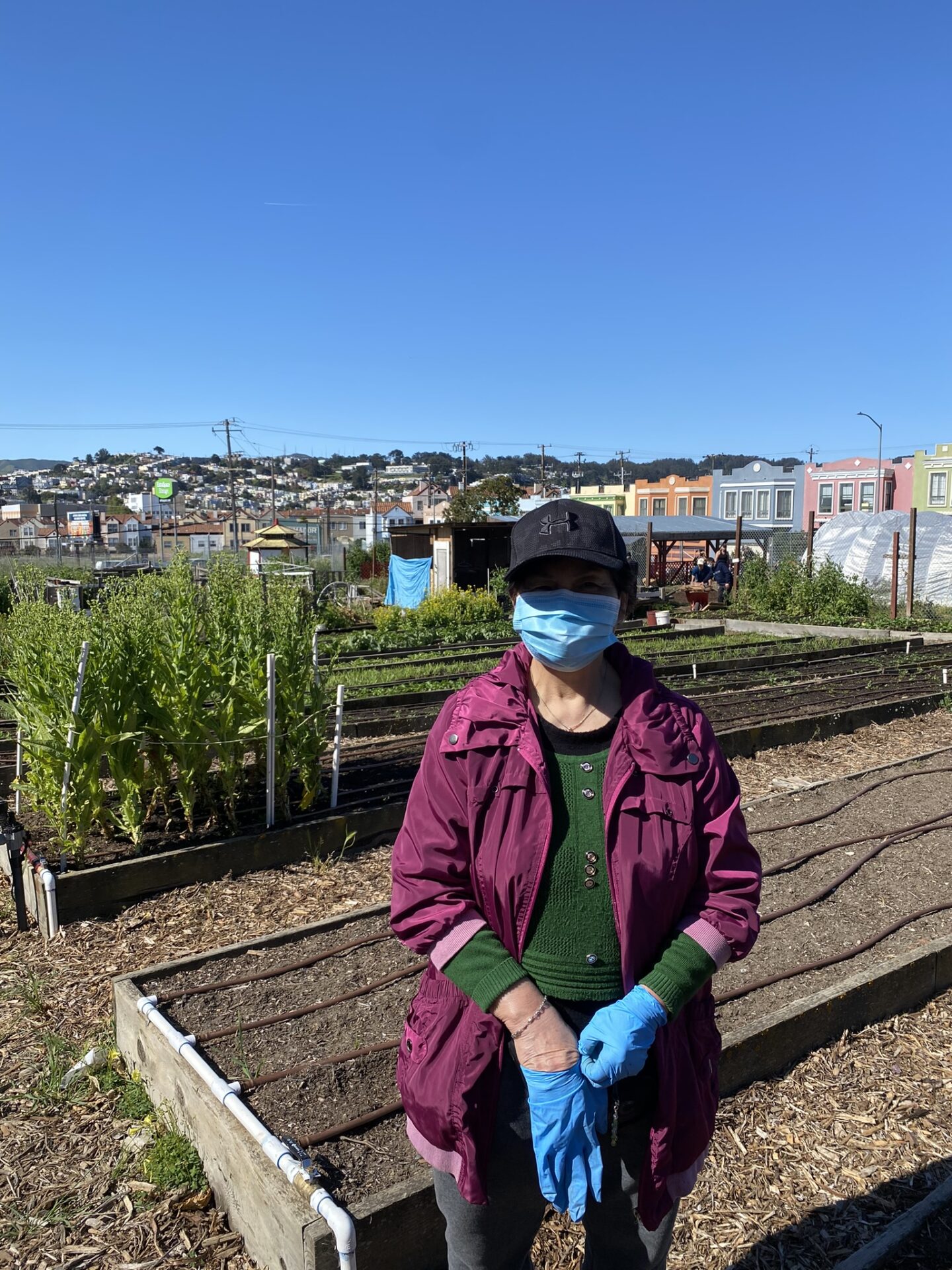 Growing Food Sovereignty in the Bayview | San Francisco-Marin Food Bank